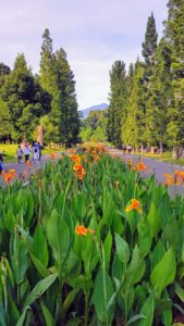 Kebun Raya Bogor (OBJEK WISATA, TIKET, SEJARAH, PETA dll)
