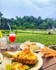 Kebun Raya Bogor (OBJEK WISATA, TIKET, SEJARAH, PETA dll)