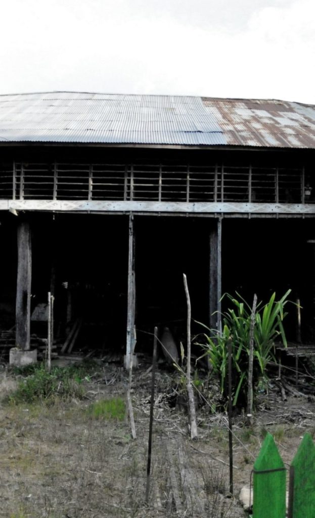 Rumah Adat Betang beserta Penjelasan, Keunikan & Filosofi
