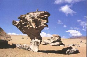 Erosi: Pengertian, Penyebab, Jenis, Dampak & Cara Mencegah