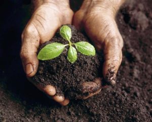 Erosi: Pengertian, Penyebab, Jenis, Dampak & Cara Mencegah