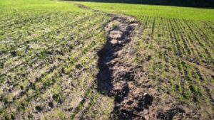 Erosi: Pengertian, Penyebab, Jenis, Dampak & Cara Mencegah