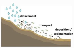 Erosi: Pengertian, Penyebab, Jenis, Dampak & Cara Mencegah